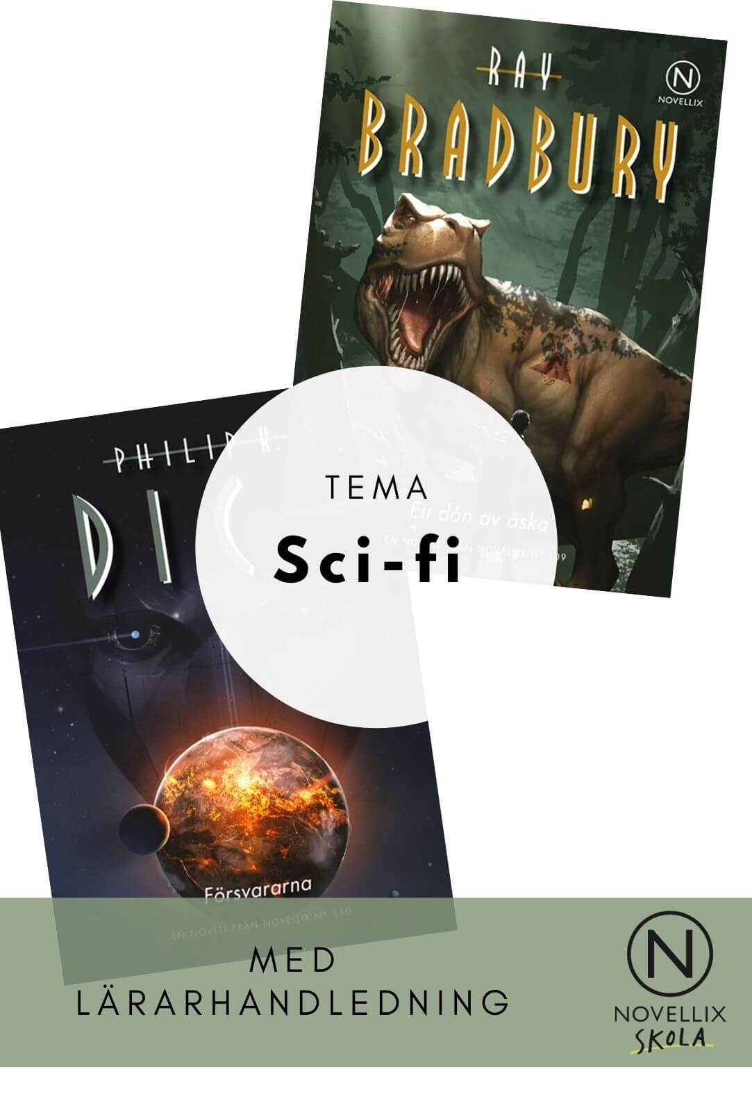 Novellix Klassrumsbibliotek – Klassiker - NOVELLIX